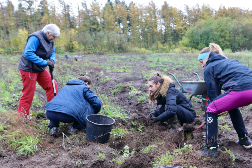 Fighting Capitalism: 10 ways to fight Capitalism everyday