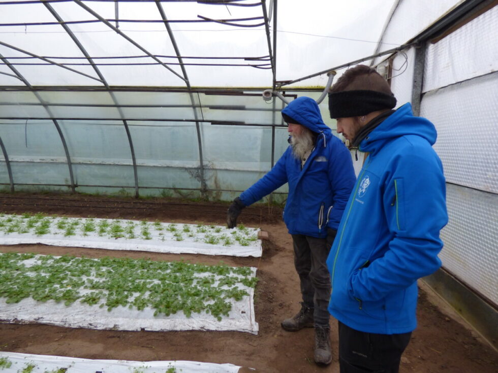 Three examples of “Learning by Doing” - DNS The Necessary Teacher ...